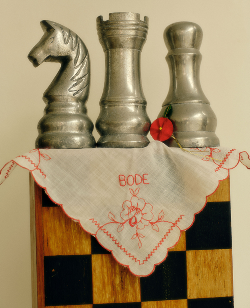 Make Room for Bode by Ma House