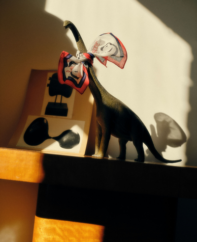 Make Room for Bode by Ma House